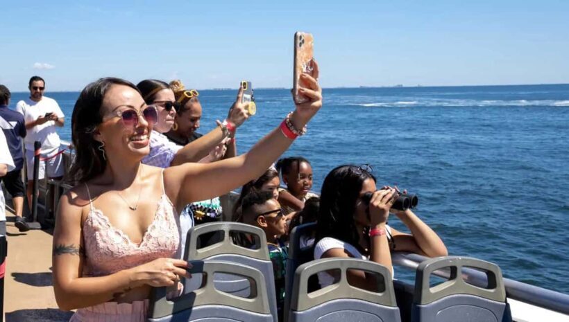 NYC: Whale Watching Cruise from Manhattan - Key Points