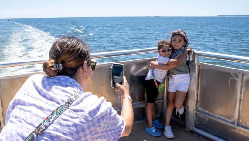 NYC: Whale Watching Cruise from Manhattan - The Sum Up