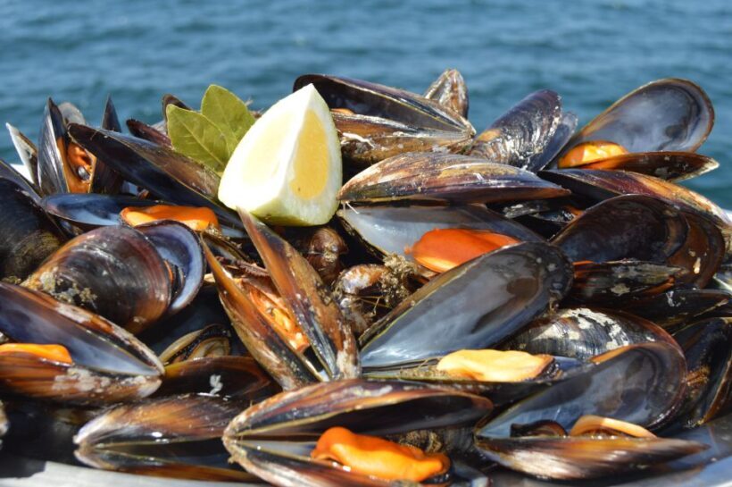 O Grove: Ría de Arousa Catamaran Tour with Seafood Lunch - Frequently Asked Questions