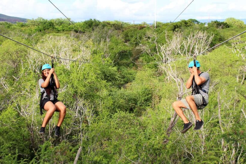 Oahu: 3 Zipline & All Inclusive Dolphin Watch Snorkel Cruise - Snorkeling in Hawaii’s Warm Waters
