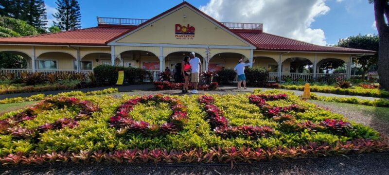 Oahu: 5 Hour Exclusive Car & Driver - ETOHI - Key Points