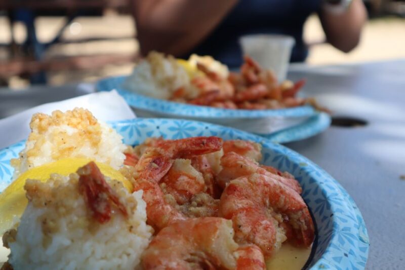 Oahu: Active Circle Island Tour - Authentic Experiences and Highlights from Reviewers