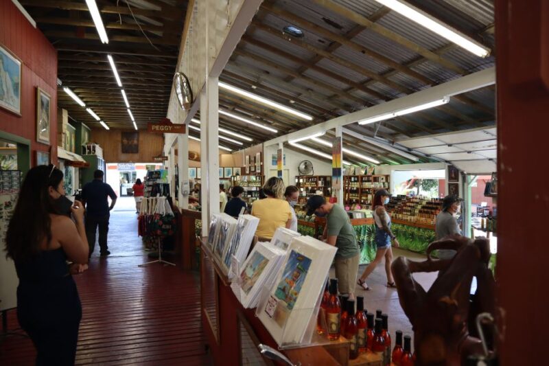 Oahu: Active Circle Island Tour - The Sum Up: Who Will Love This Tour?