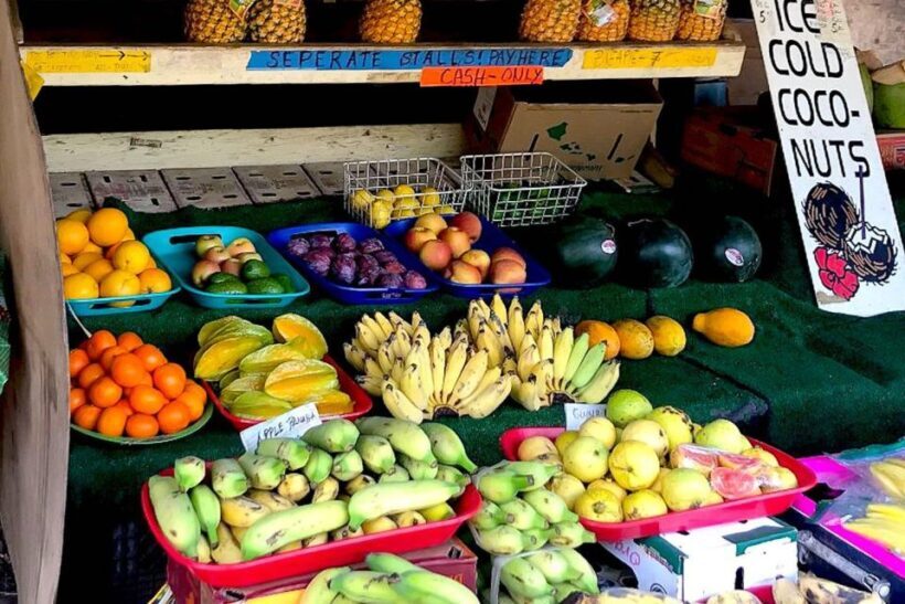 Oahu: Beauty and the Feast Circle Island Experience - Key Points