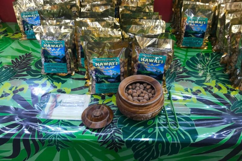 Oahu: Beauty and the Feast Circle Island Experience - The Practicalities: What You Need to Know