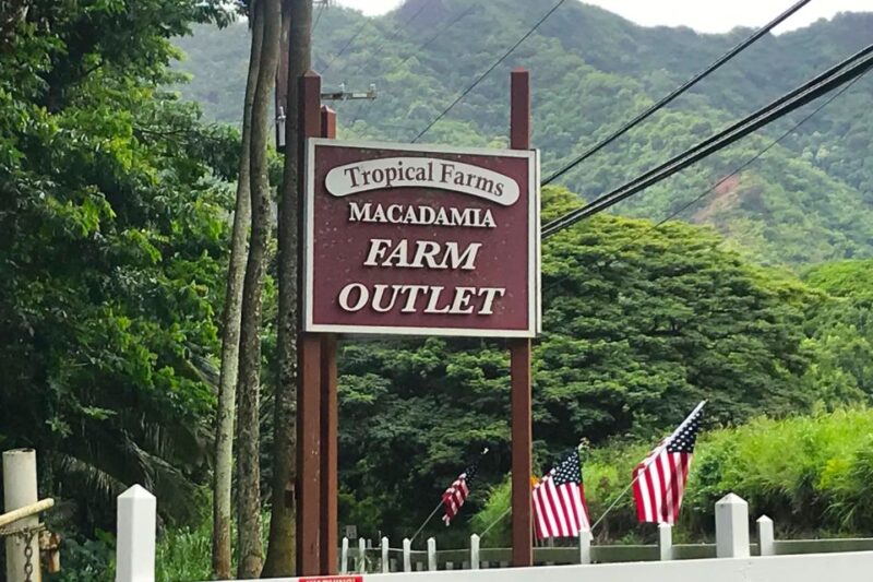 Oahu: Beauty and the Feast Circle Island Experience - The Value Proposition