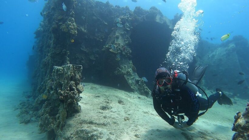 Oahu: Beginner SCUBA Dive at Electric Beach - The Skills Session: Building Confidence