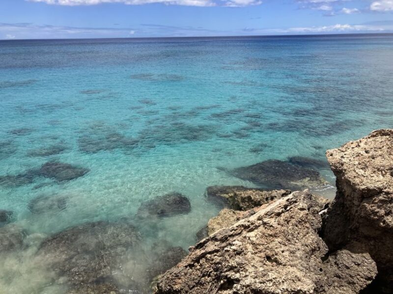 Oahu: Beginner SCUBA Dive at Electric Beach - Authentic Reviews and Feedback
