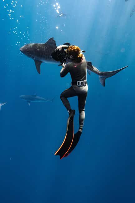 Oahu: Cageless Shark Dive Adventure - Who Is This Experience Best For?