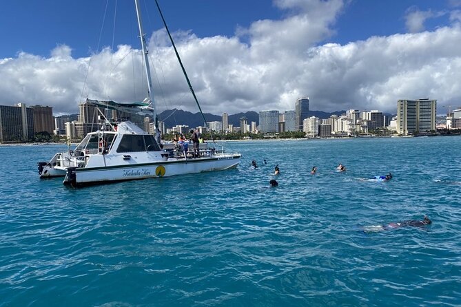 Oahu Catamaran Snorkel Tour: See Turtles 100% Guaranteed - Discovering Turtle Canyon Reef