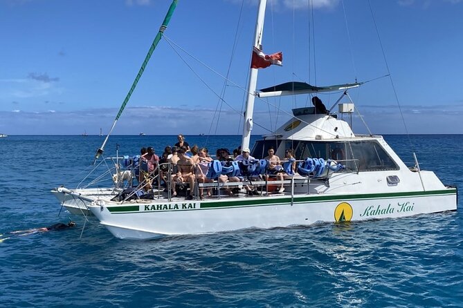 Oahu Catamaran Snorkel Tour: See Turtles 100% Guaranteed - The Snorkeling Experience