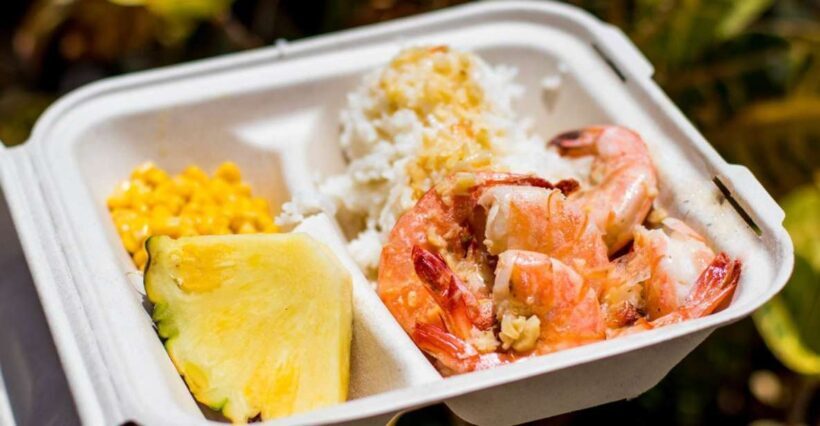 Oahu: Circle Island Day Trip with Shrimp Plate Lunch - Introduction: Why This Tour Might Be Just What Youre Looking For