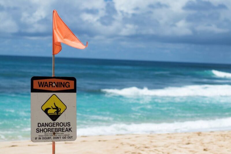 Oahu: Circle Island Day Trip with Shrimp Plate Lunch - Who Will Love This Tour?