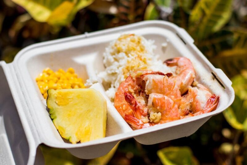 Oahu: Circle Island Day Trip with Shrimp Plate Lunch - Final Thoughts