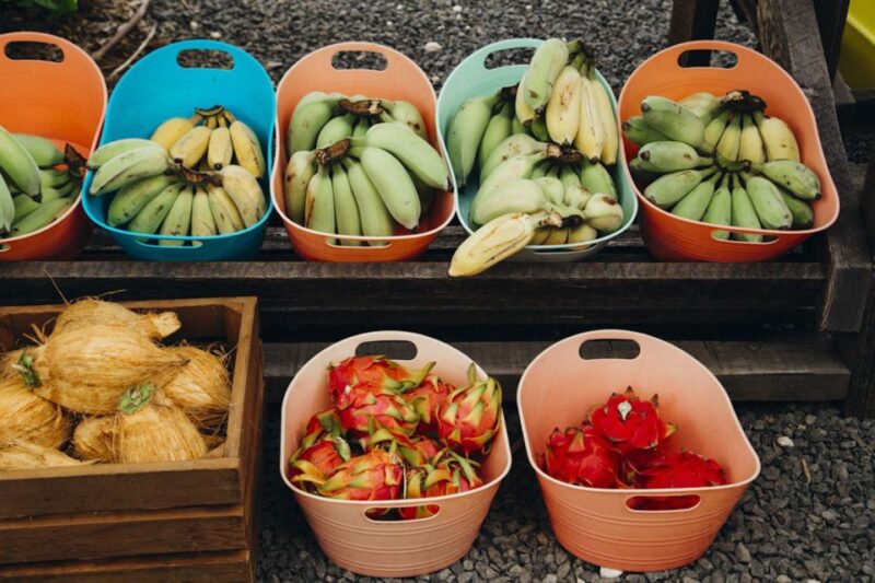 Oahu: Circle Island Day Trip with Shrimp Plate Lunch - FAQ