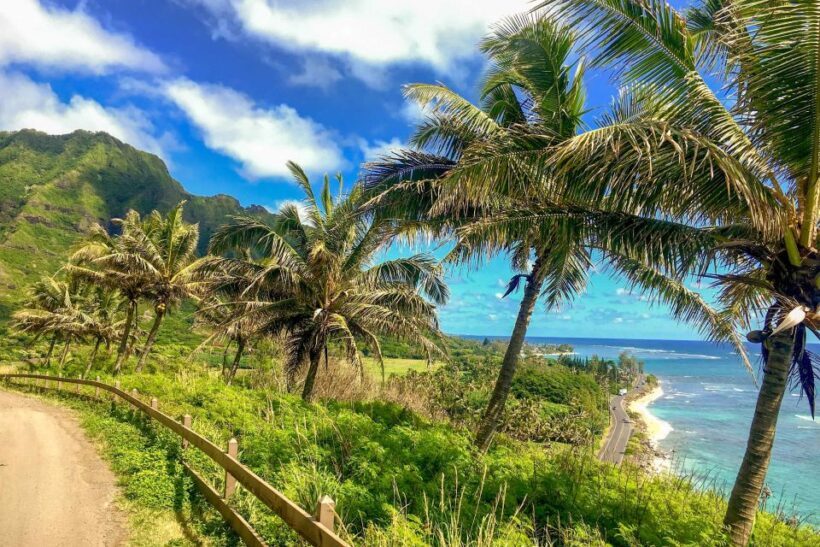 Oahu: Circle Island Top Sights Full-Day Tour w/ Local Guide - The Dole Plantation and Final Treats