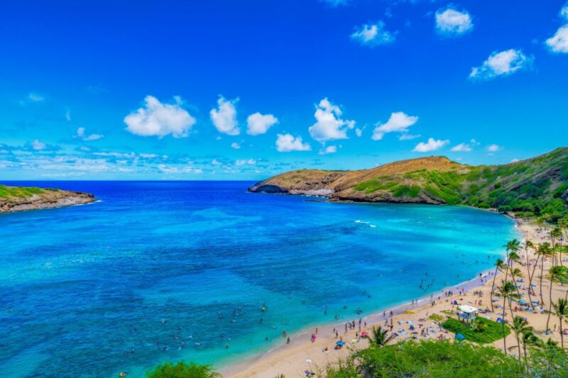Oahu: Circle Island Top Sights Full-Day Tour w/ Local Guide - Practical Tips for Making the Most of Your Day