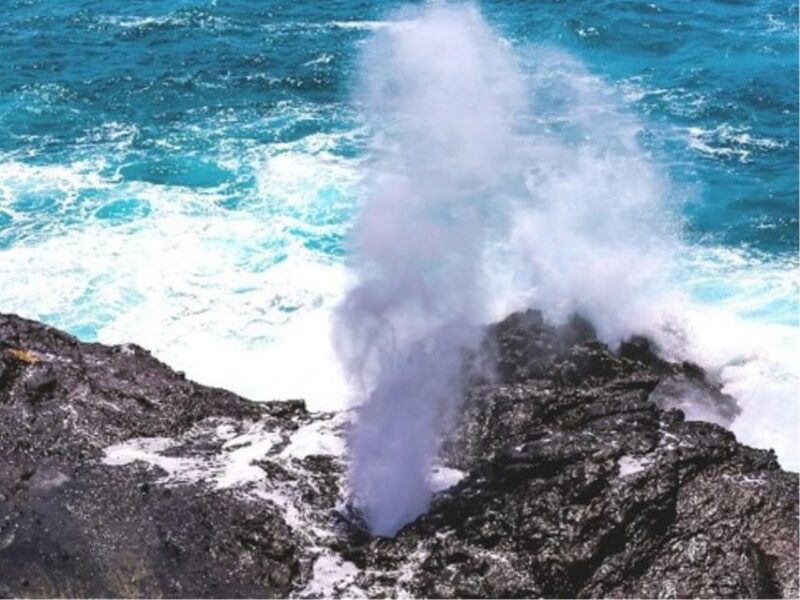 Oahu Circle Island Tour with Byodo-In Temple Admission - The Sum Up