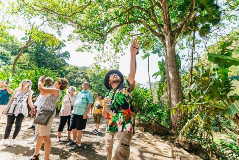 Oahu: Circle Island Tour with Lunch & Waimea Waterfall - Who Should Consider This Tour?