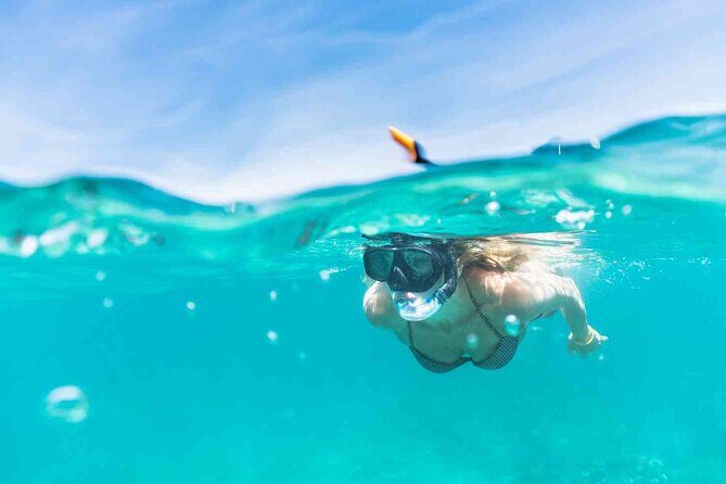 Oahu Coastline Cruise: Turtle Snorkeling and Jumping Platform - An In-Depth Look at the Experience