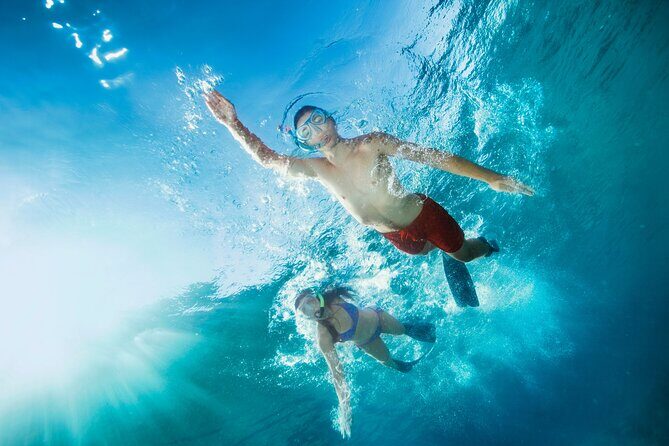 Oahu Coastline Cruise: Turtle Snorkeling and Jumping Platform - The Sum Up: Is It Worth Your Time?