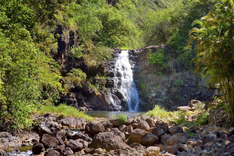 Oahu: Complete Island Tour with Tropical Waterfall Swimming - What to Bring and Consider