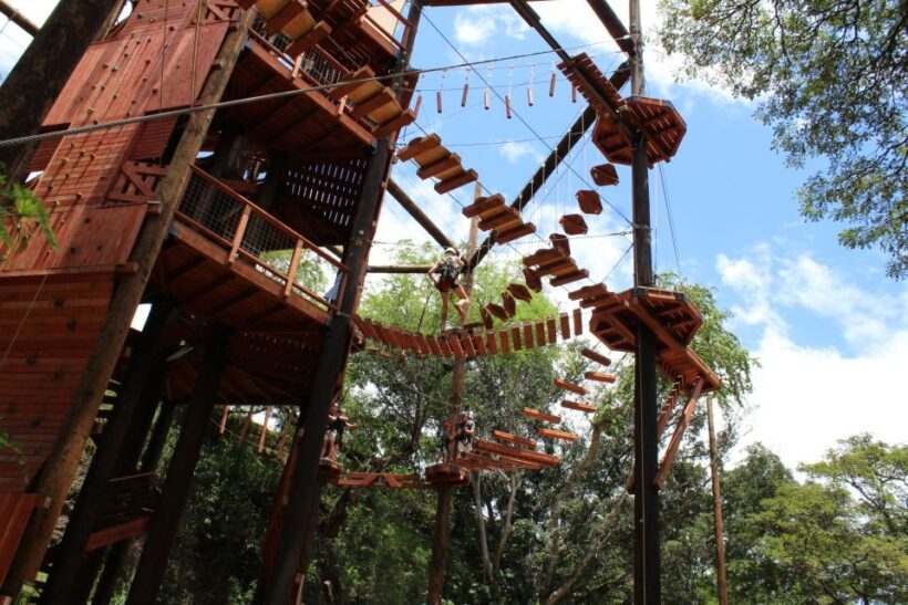 Oahu: Coral Crater Aerial Challenge Course - What to Expect on the Course
