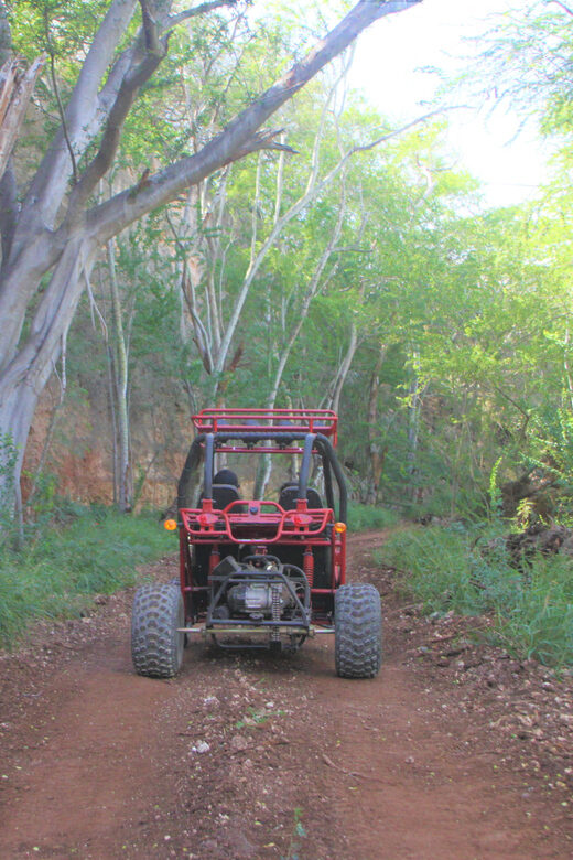 Oahu: Coral Crater Zipline and Offroad ATV Adventure - A Complete Look at the Coral Crater Adventure