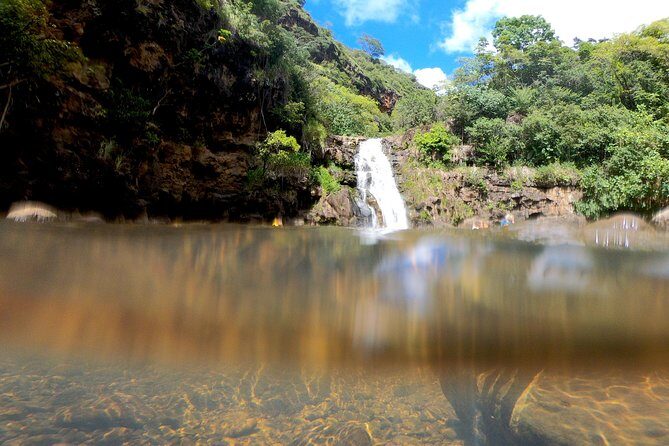 Oahu Custom Private Circle Island and Mini Circle Island Tours - What Guests Are Saying