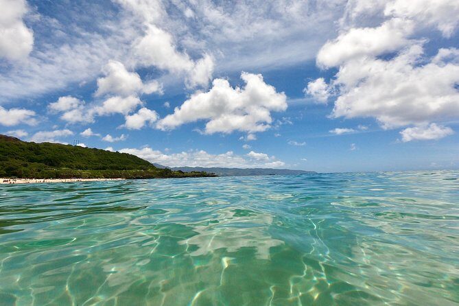 Oahu Custom Private Circle Island and Mini Circle Island Tours - Final Thoughts: Is This Tour Right for You?