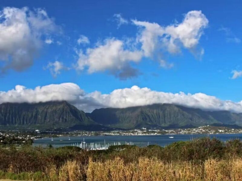 Oahu: Custom Private Island Tour of O'ahu - Why This Tour Offers Great Value