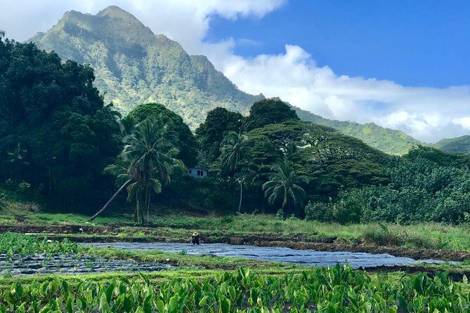 Oahu Customizable Private Community Service Voluntourism Offer - A Deep Dive into the Tour Experience