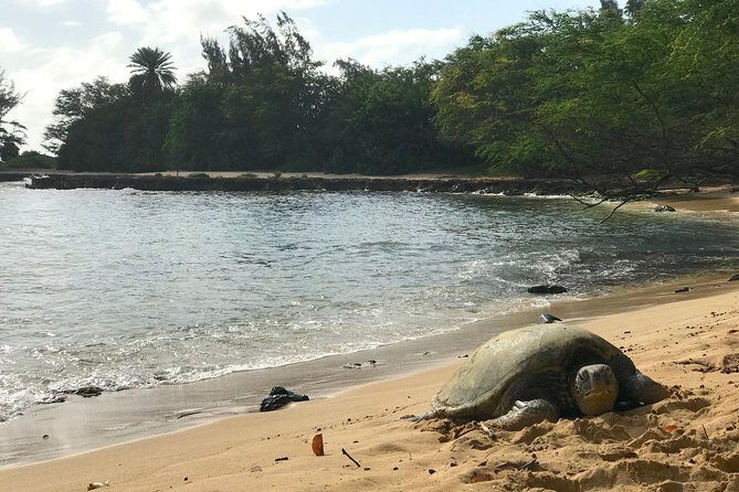 Oahu Customizable Private Community Service Voluntourism Offer - The Sum Up: Who Will Love This Tour?