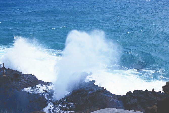 Oahu Deluxe Grand Circle Island Tour - Who Should Consider This Tour?