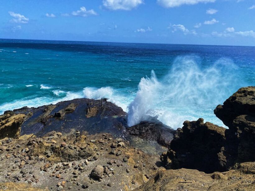 Oahu: Diamond Head Crater Hike and North Shore Experience - Key Points
