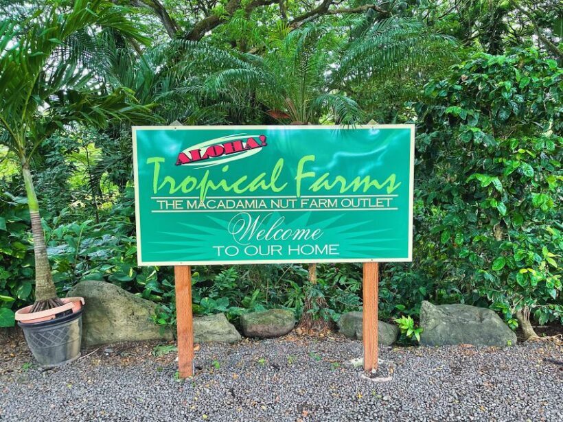 Oahu: Diamond Head Crater Hike and North Shore Experience - FAQ