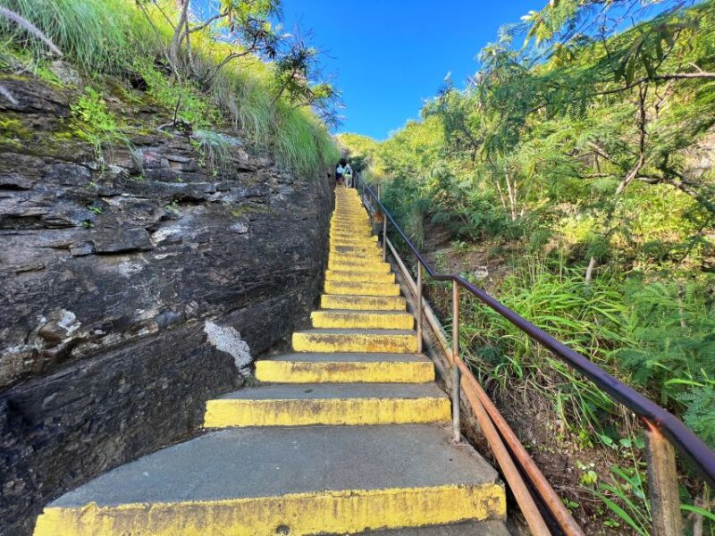 Oahu: Diamond Head Crater Hike and North Shore Experience - Authentic Feedback from Travelers