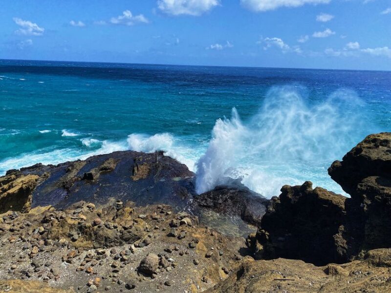 Oahu: Diamond Head Crater Hike and North Shore Experience - What to Expect and What to Bring