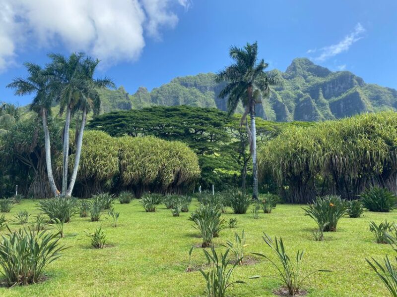 Oahu: Diamond Head Crater Hike and North Shore Experience - Who will love this tour?