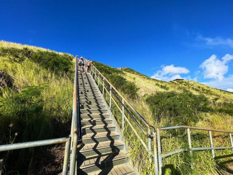 Oahu: Diamond Head Crater Trailhead Transfer & Entry Fee - FAQ: Practical Questions About the Tour
