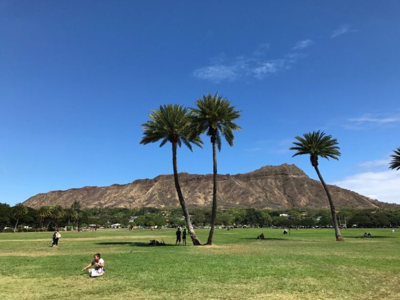 Oahu: Diamond Head Sunrise Hike with Acai Bowl and Malasada - Who Is This Tour Best Suited For?