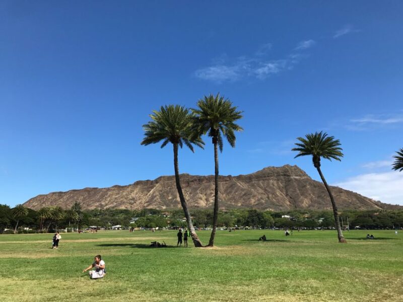 Oahu: Diamond Head Sunrise Hike with Acai Bowl and Malasada - Who Will Love This Tour?