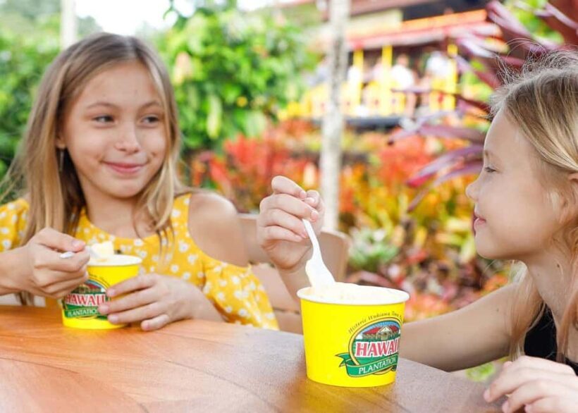 Oahu: Dole Plantation & Haleiwa Express Deluxe Tour - Introduction