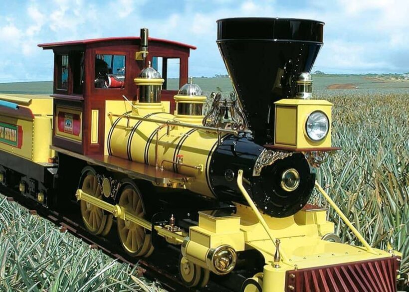 Oahu: Dole Plantation & Haleiwa Express Deluxe Tour - Key Points