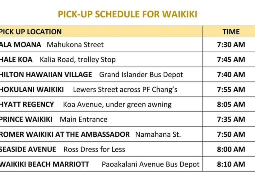 Oahu: Dole Plantation & Haleiwa Express Deluxe Tour - Summary of the Experience