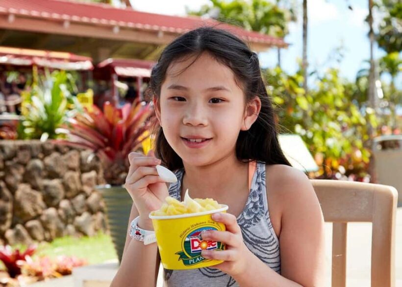Oahu: Dole Plantation & Haleiwa Express Deluxe Tour - The Sum Up