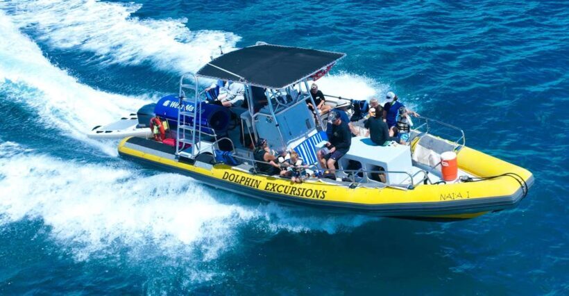 Oahu: Dolphin Swim and Turtle Snorkel Excursion in Waianae - An In-Depth Look at the Experience
