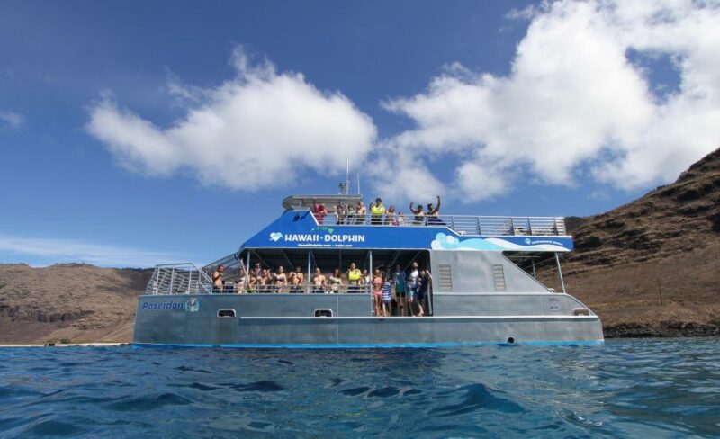 Oahu Dolphin Watch, Turtle Snorkel, Waterslide Activities - Who Should Consider This Tour?