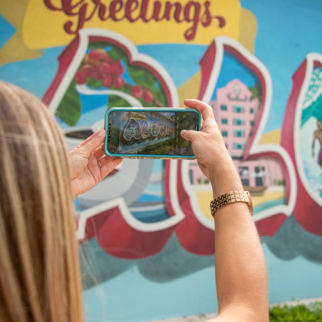 Oahu: Full-Day Guided Hawaiian Food and Photo Tour - Who Should Consider This Tour