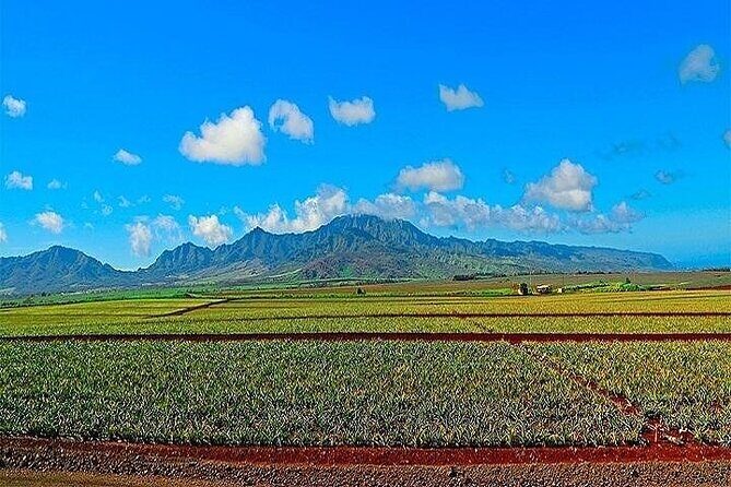 Oahu Grand Circle Island Experience Departing from Maui - Key Points